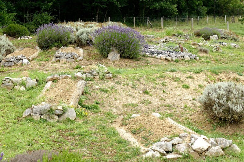 Merovingian Necropolis of Tabariane in Teilhet Stock Photo - Image of ...