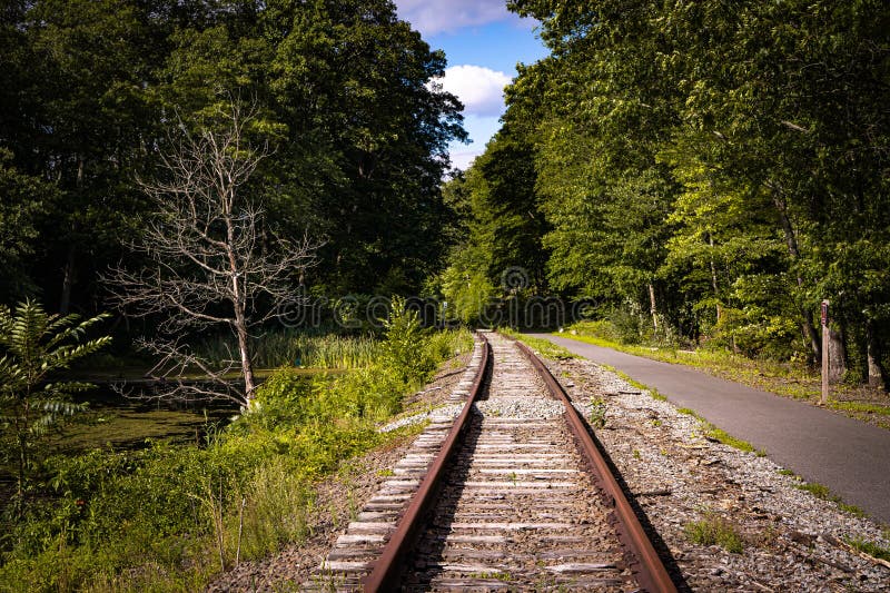 View of Old, Unused Train Tracks in Woody Area on a Nice Day Stock ...