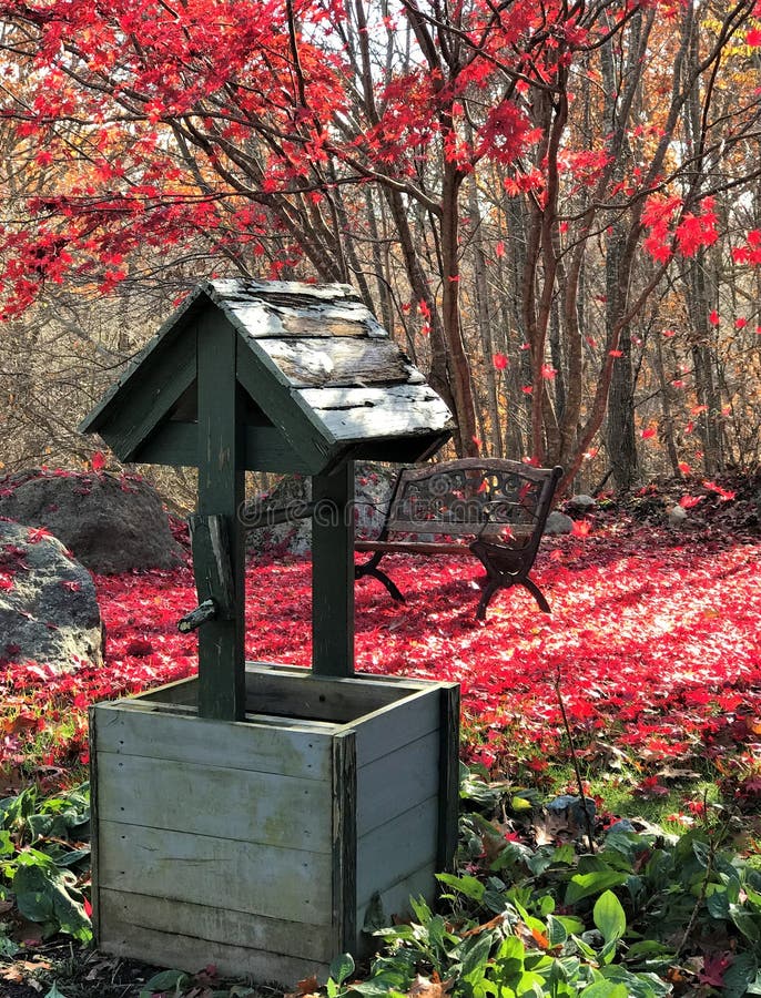 Old Well with a Japanese Maple and Bench in the Background Stock Photo ...