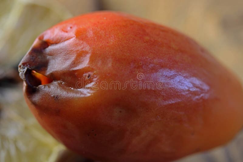 DETERIORATING END of TREE TOMATO FRUIT Stock Image - Image of ...