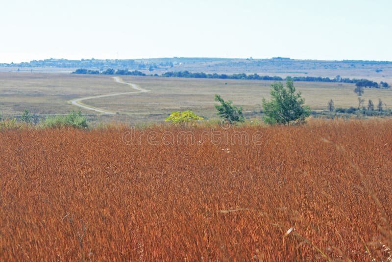 Landscape with Red Grass in Foreground Stock Photo - Image of field ...