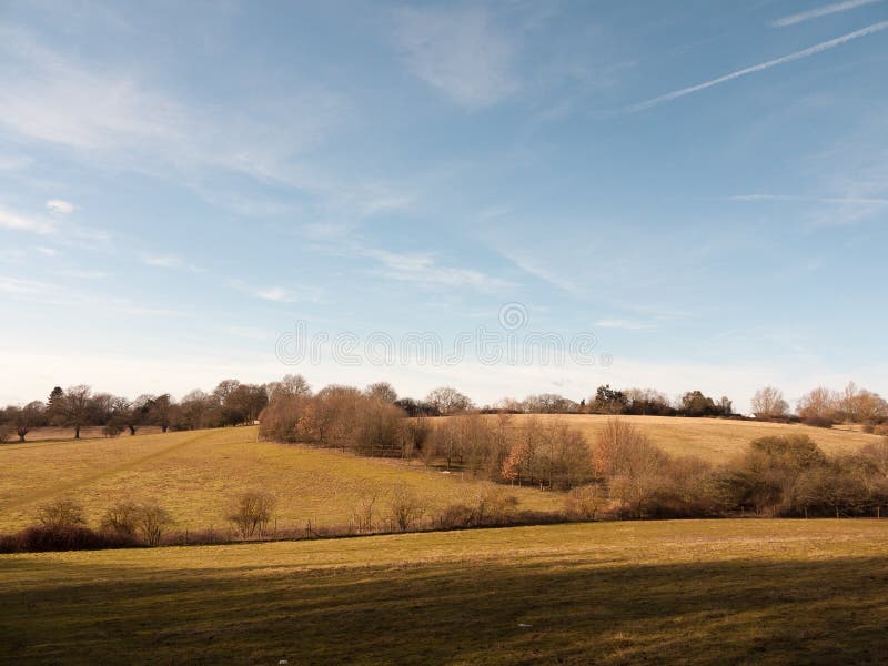 Empty Wet Grass Field Low Light Sunset Landscape Dedham Plain Em Stock ...