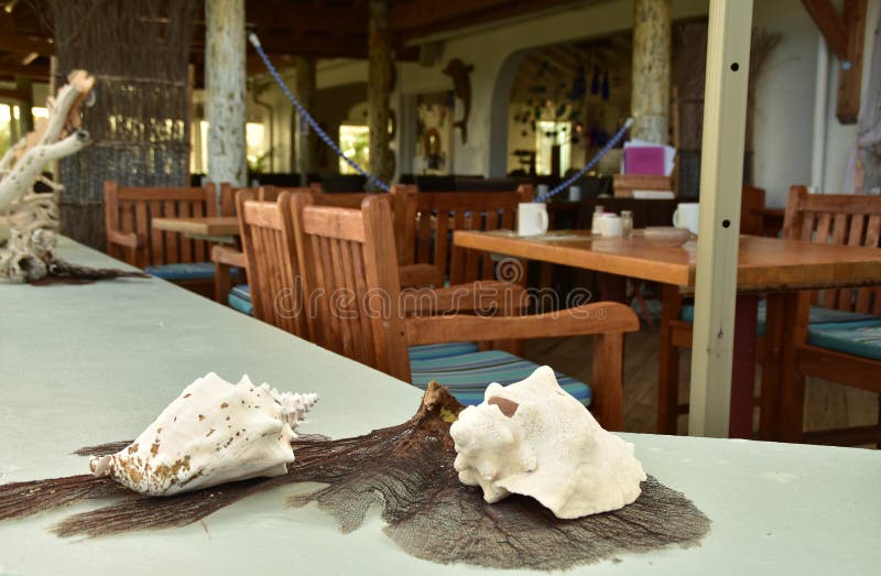 View into Open Space Restaurant Stock Image - Image of serving, glass ...