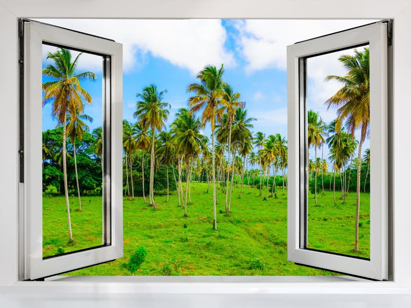 View from an Open Window To the Jungle Stock Image - Image of nature ...