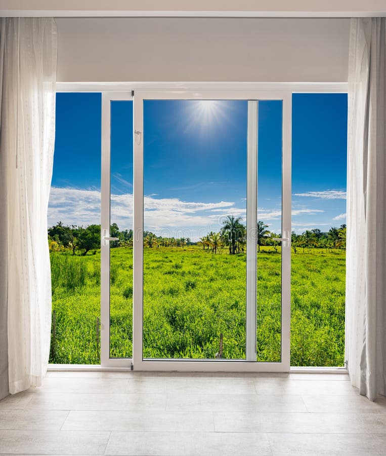 View from an Open Window To the Jungle Stock Photo - Image of leaf ...