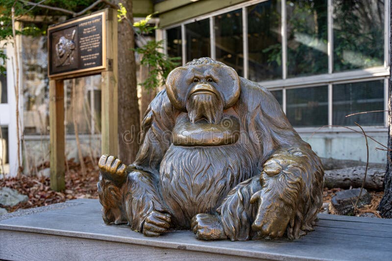 View of the Orangutan Statue at the Toronto Zoo. Editorial Stock Image ...