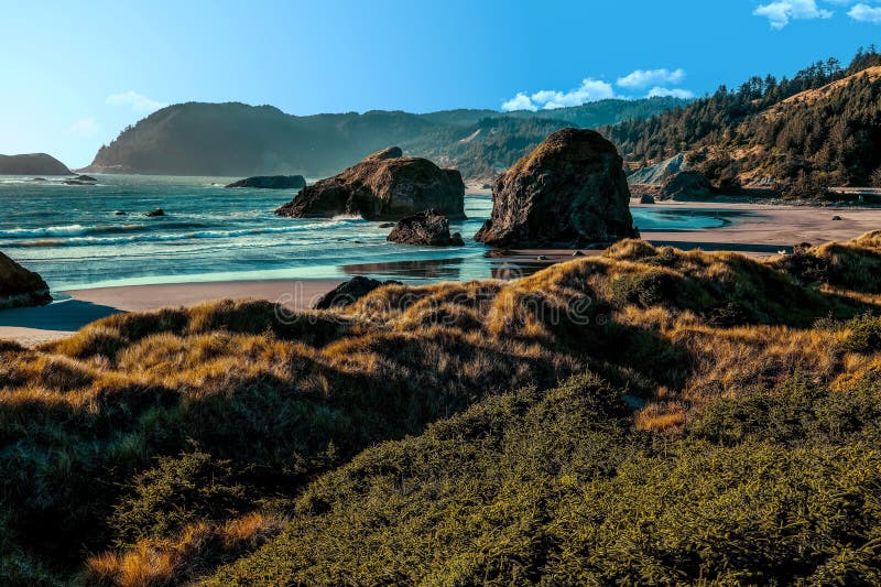 View of the Oregon Coast with Rugged Rocks, Sandy Beaches, and Lush ...