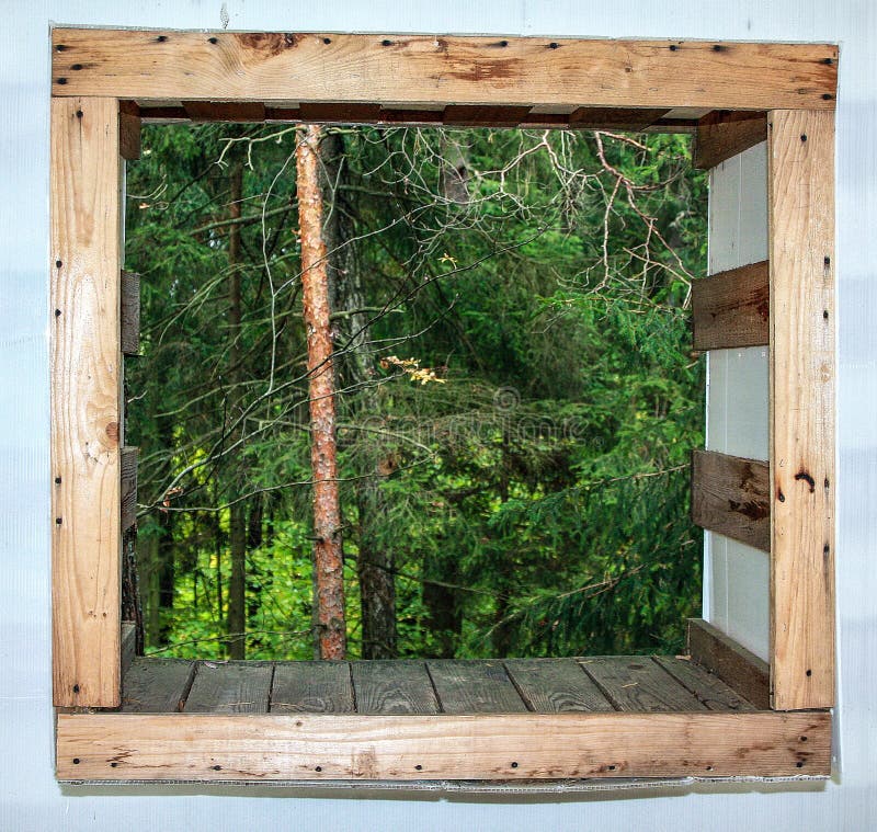 View Out the Window at the Wild Forest Stock Image - Image of trunk ...