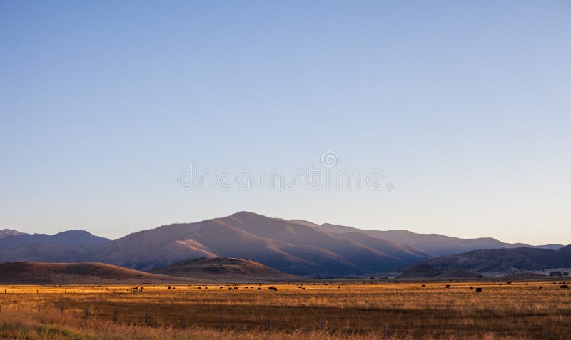 View over desert farmland stock image. Image of rural - 64976971