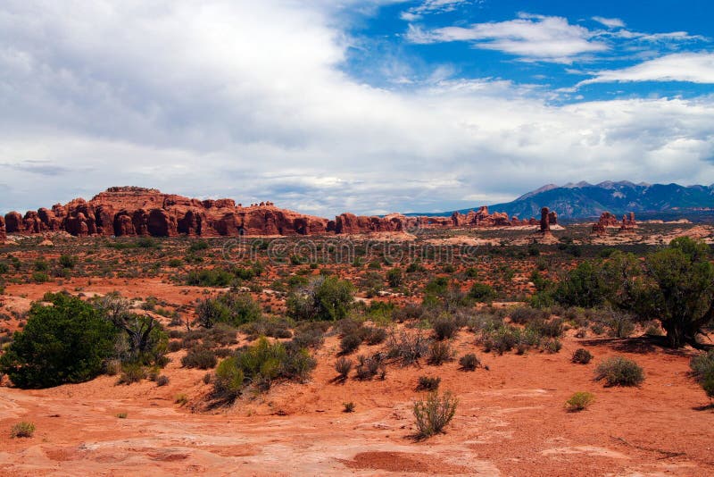 View Over Endless Red Sand Plain with Green Plants in Dry Environment ...