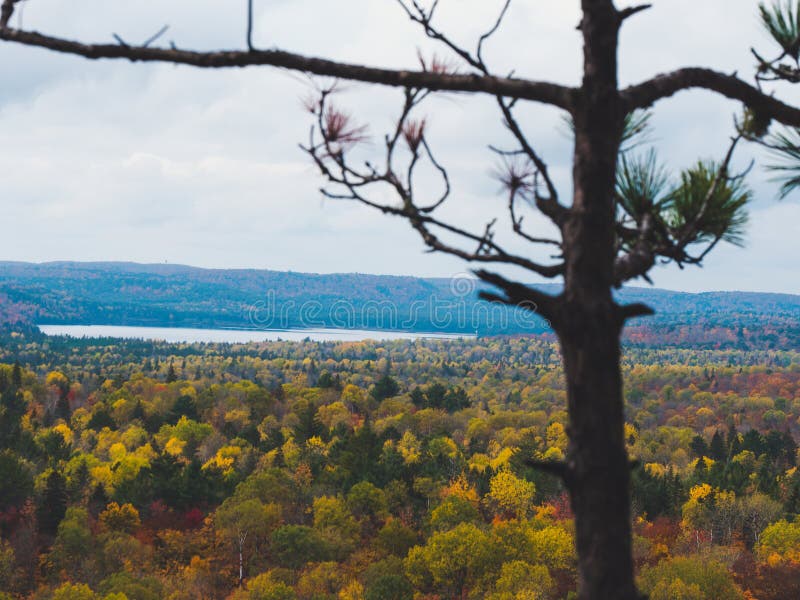 View Over Fall Forest and Lake with Colorful Trees from Above in ...