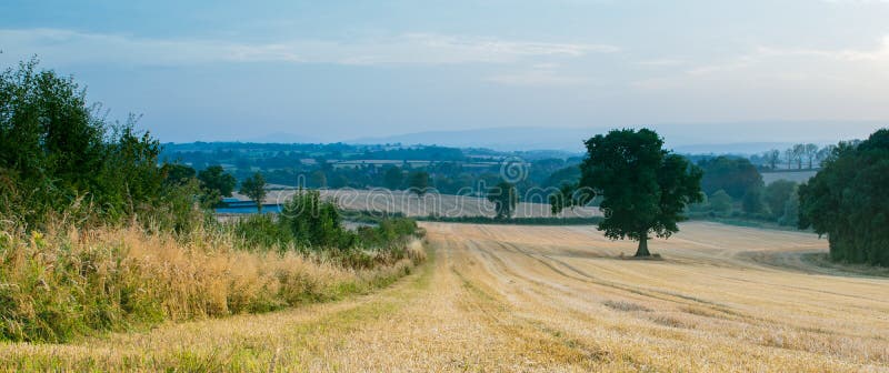 View Over Fields and Rolling Hills in English Countryside during Summer ...