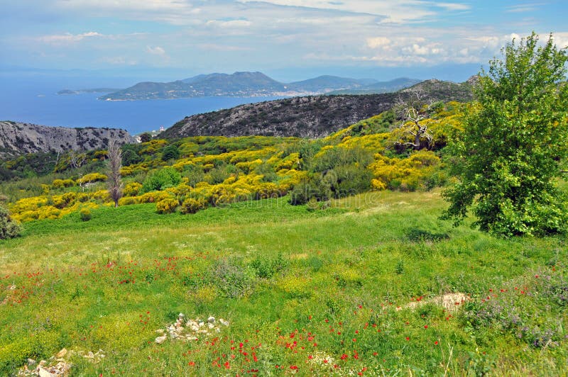 View Over Greek Island Samos in Spring Stock Image - Image of greek ...