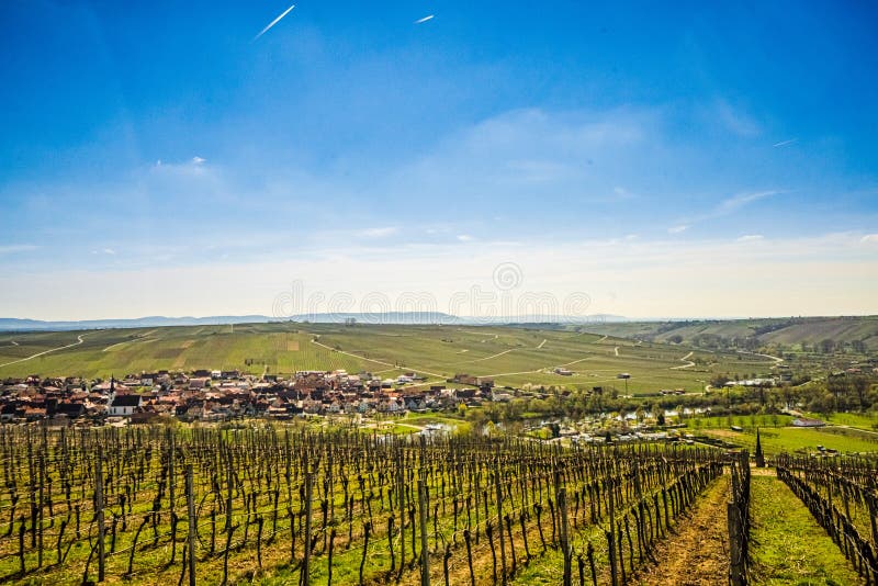 View Over the Idyllic Main Valley, the Vineyards, the Main Loop at the ...
