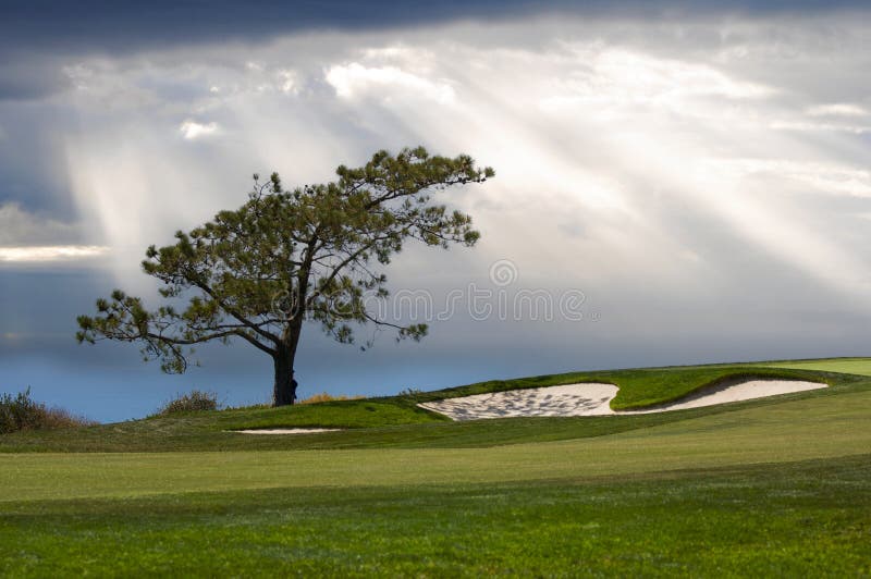 View Over the Pacific Ocean from Torrey Pines Golf Course Stock Photo ...