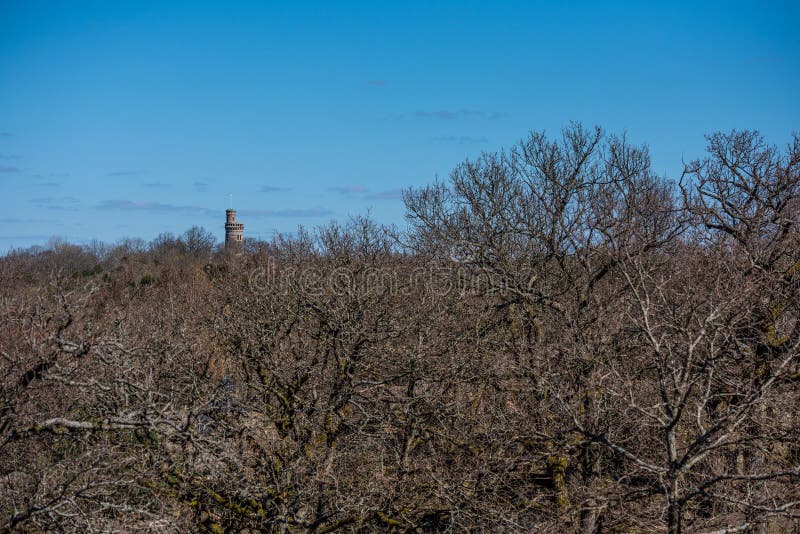 View Over a Part Forest in Early Spring. a Stone Tower in the Distance ...