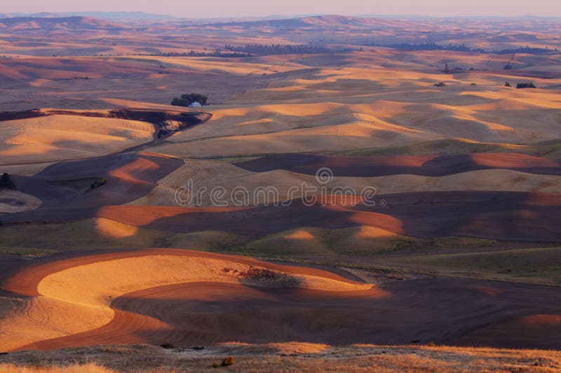 View Over Patchwork of Farms in Autumn at Sunset, Palouse Valley Stock ...