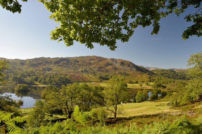 View Over Rydal Water from Coffin Route Stock Image - Image of ...