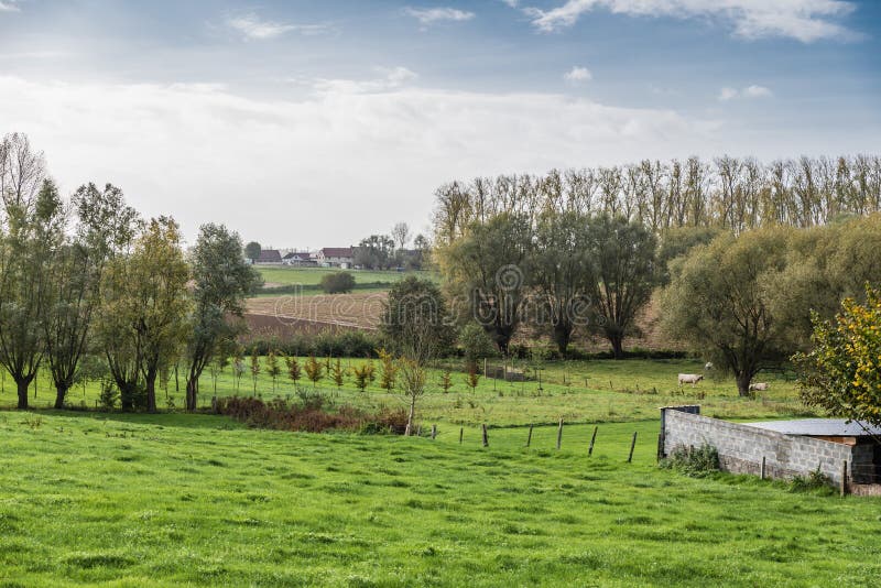 View Over Trees and Meadows at the Belgian Countryside Stock Image ...