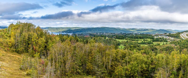 A View Over Treetops Towards Corner Brook in Newfoundland, Canada Stock ...