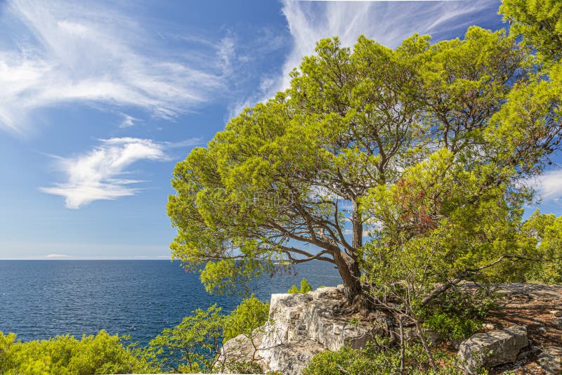 View Over Typical Coast Landscape of Istria in Summer Stock Photo ...