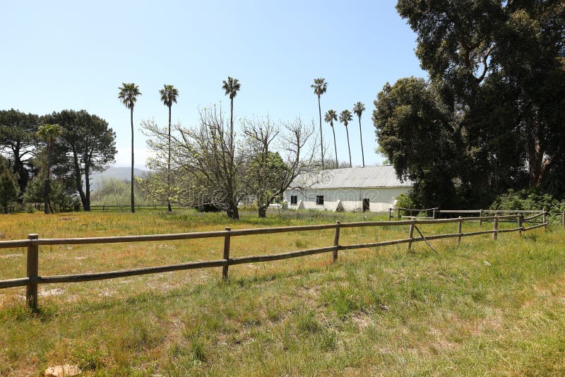 A View of a Paddock with Green Grass and Palm Trees in the Distance ...