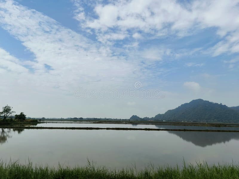 View of Paddy Field at Perlis Stock Photo - Image of river, reflection ...