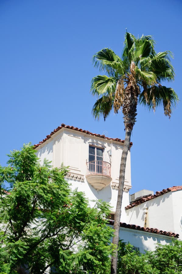 Palm with Building. Italy. Rom. Sunny Day Stock Image - Image of ...