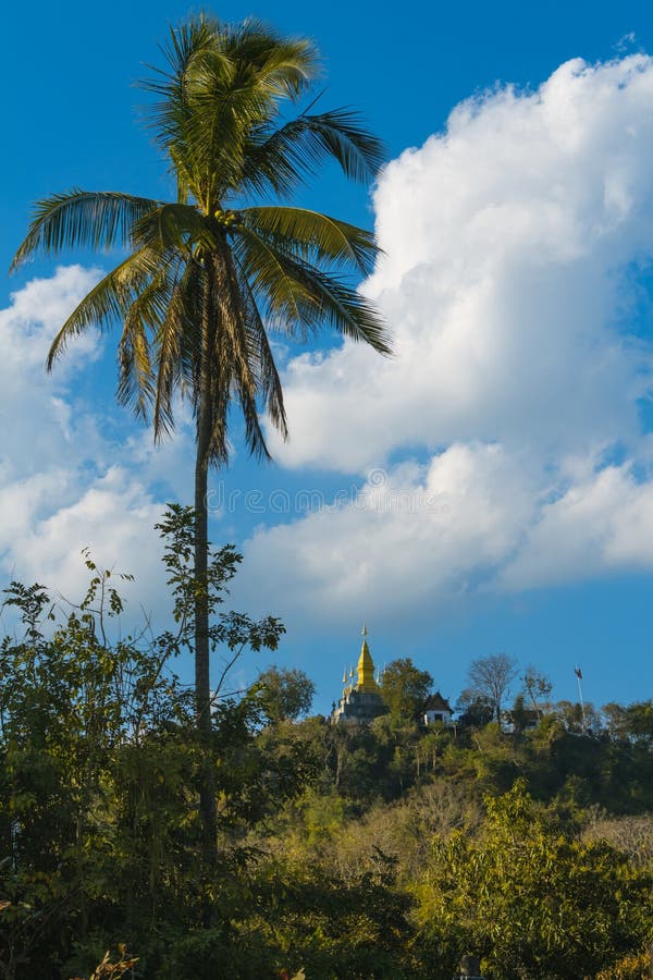 View of a Palm Tree and Pha that Luang, Vientiane Stock Image - Image ...