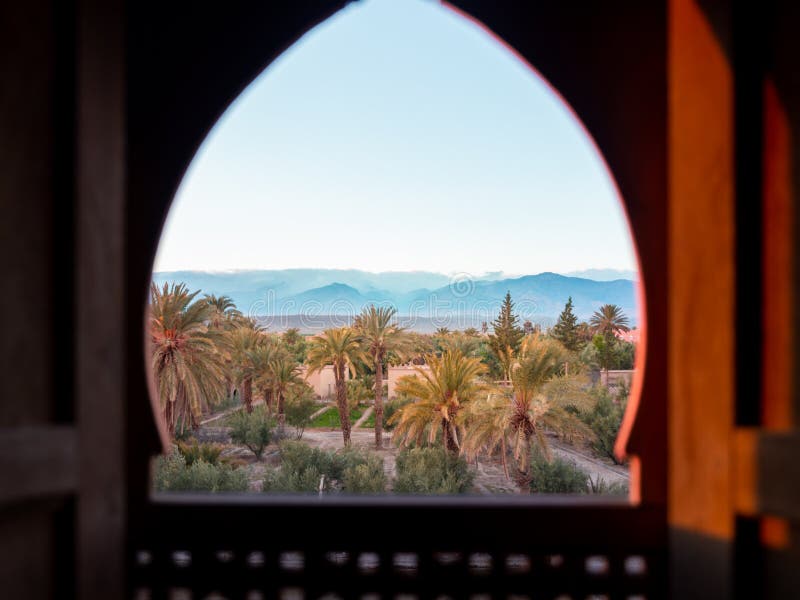 View of the Palm Trees from an Arch Window Stock Photo - Image of palm ...