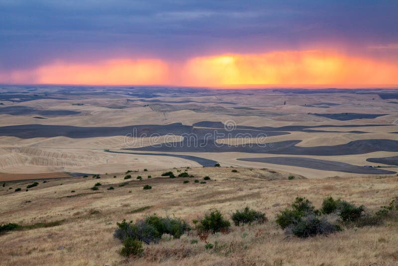 A View of the Palouse from the Top of Steptoe Butte in Eastern ...