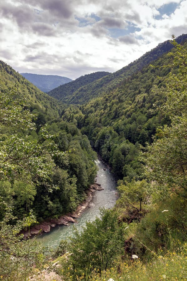 View from the Panoramic Platform of the Mountain River Winding through ...