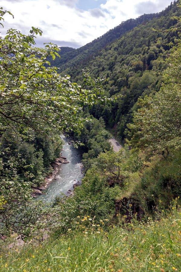 View from the Panoramic Platform of the Mountain River Winding through ...