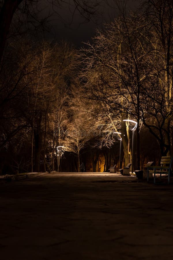 View of the Park Alley on a Winter Night Stock Photo - Image of snow ...
