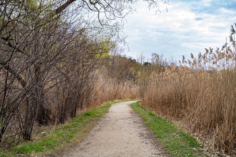 View of the Park at Eglinton Flats in Toronto Stock Photo - Image of ...