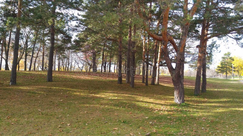 View of a park in the fall stock image. Image of belleville - 174605085