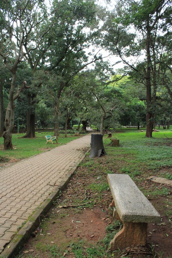 View from a park stock photo. Image of gardening, rose - 231696784