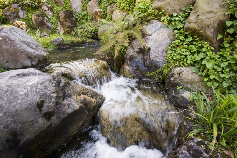 View of a Corner in the Park Stock Photo - Image of park, waterfall ...