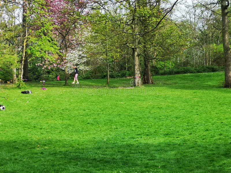 A View through the Park in Spring Stock Image - Image of colours, trees ...
