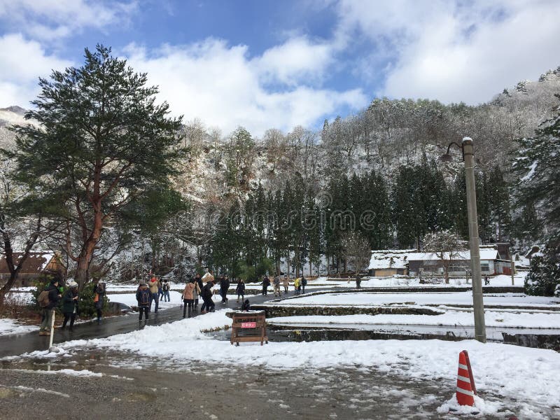 View of the Park at the Winter Editorial Image - Image of snow, view ...