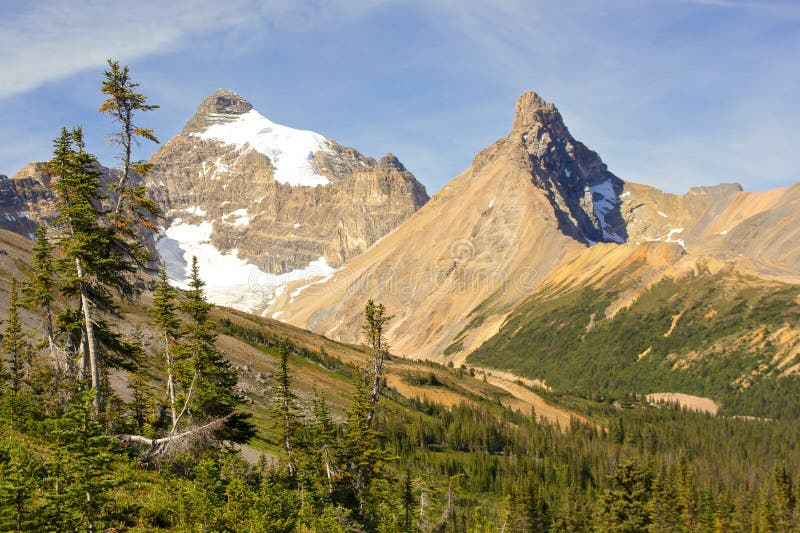 View from Parker Ridge Trail 1 Stock Image - Image of glacier, alberta ...