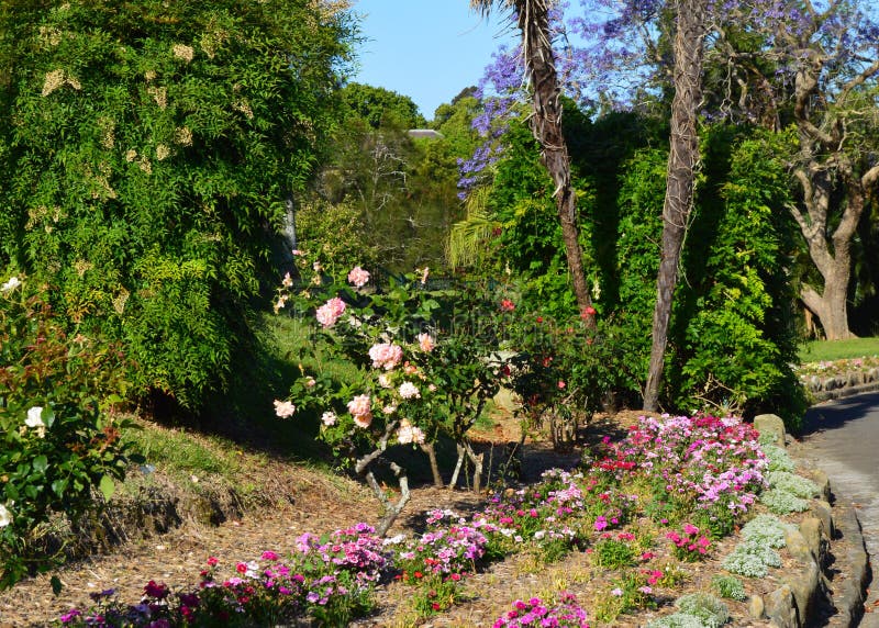 A View a Parramatta Park in Sydney at Spring Time Editorial Photography ...
