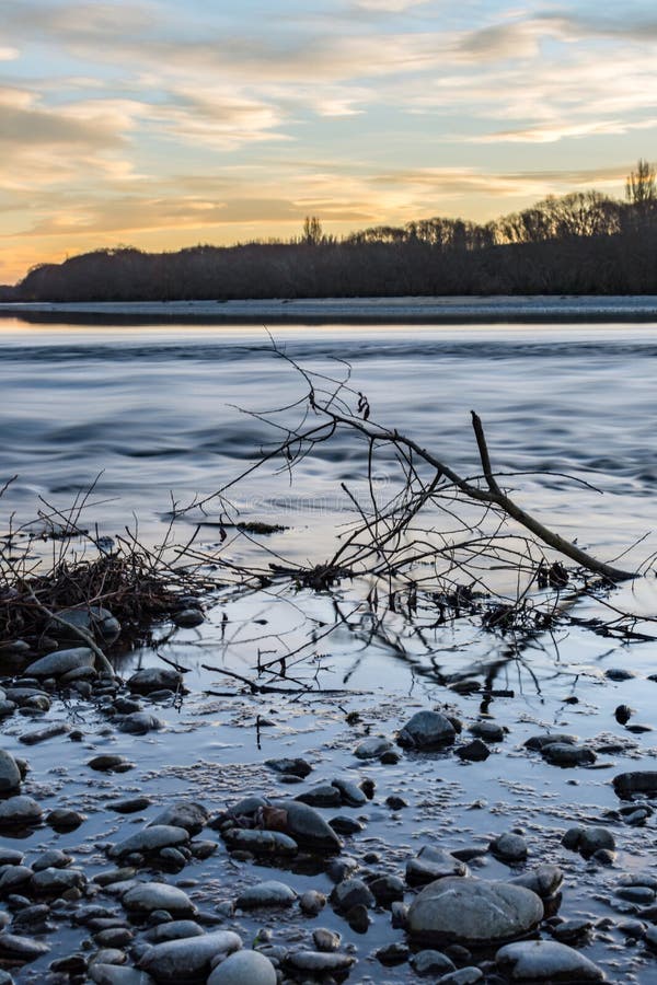 View of Part of a Tree Inside the River during the Sunset Stock Photo ...