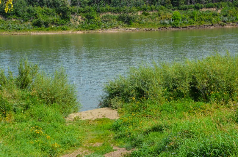 Path to River stock image. Image of water, lead, clear - 102129883