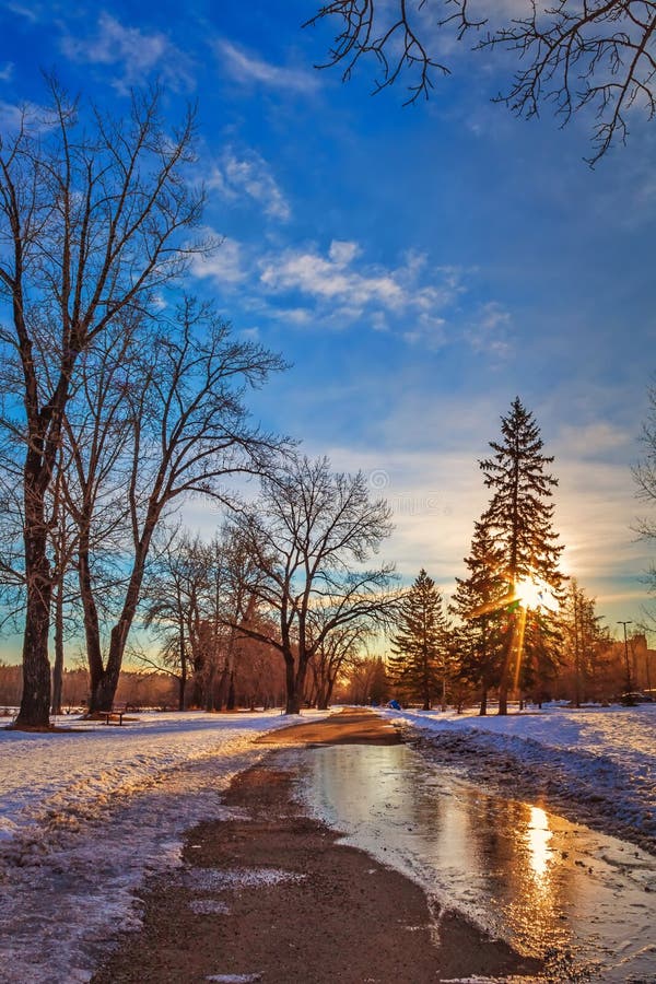 Scenic Park Walkway in Calgary Stock Photo - Image of trees, vibrant ...