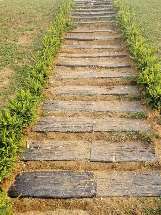 Pathway View at Taman Empangan Park Putrajaya Stock Image - Image of ...
