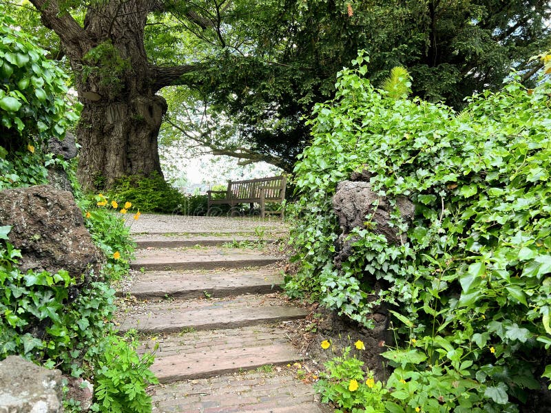 View of Pathway Going through Park with Beautiful Green Plants Stock ...