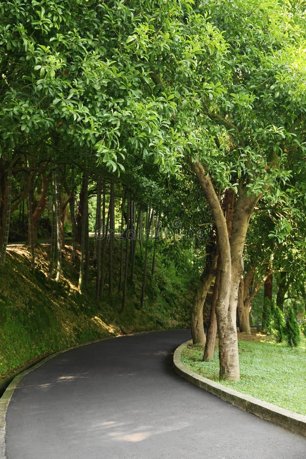 Pathway, Trees and Green Grass in Beautiful Park on Autumn Day Stock ...