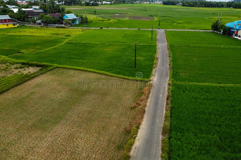 View of the Paved Road at the Edge of the Rice Fields Stock Image ...