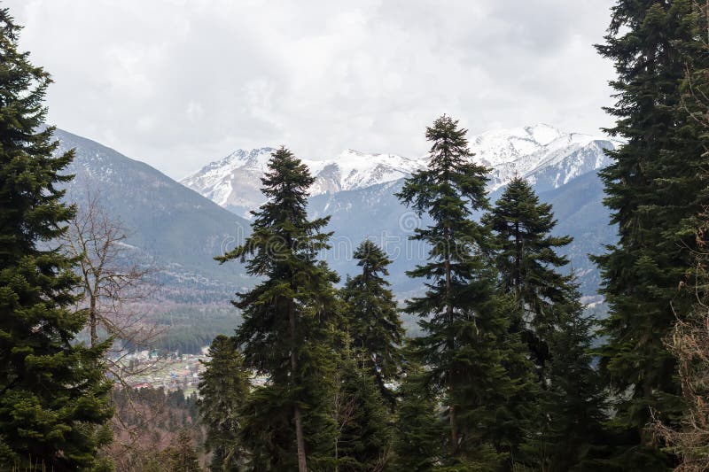 View of the Peaks of the Arkhyz Mountains from the Forest Trail Stock ...